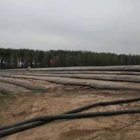 China High Strength Geotextile Weed Membrane PP Woven UV Resistant  Geotextile Cloth for sale