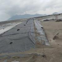 China Road Construction Polypropylene Geotextile 1.2KN 2.2KN Geotextile Blanket for sale