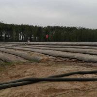 China Road Construction Polypropylene Geotextile 1.2KN 2.2KN Geotextile Blanket for sale