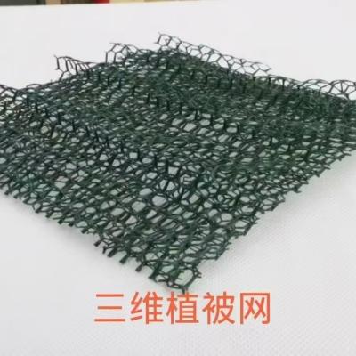 China 3D Geo Textile Mat HDPE Vegetation Reinforcement Geogrid Mat for sale