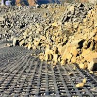 China Warp Knitted PET Geogrid for sale