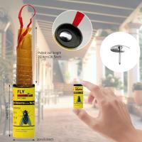 China JZ Pest Control Eco Friendly Uv Fly Killer Paper Safe Adhesive Insect Pest Control Fly Traps for sale