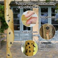 China JZ Pest Control Eco Friendly Uv Fly Killer Paper Safe Adhesive Insect Pest Control Fly Traps for sale