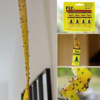 China JZ Pest Control Eco Friendly Uv Fly Killer Paper Safe Adhesive Insect Pest Control Fly Traps for sale