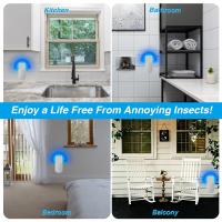 China JZ Indoor Electric Fly Catcher Glue Trap with Night Light UV Attract Mosquito Sticky Trap Plug in Flying Insect Trap for sale
