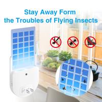 China JZ Indoor Electric Fly Catcher Glue Trap with Night Light UV Attract Mosquito Sticky Trap Plug in Flying Insect Trap for sale