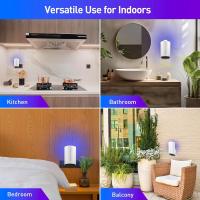 China JZ Indoor Bedroom Electric Wall Hanging Fly Catcher Pest Control Purple UV Light Sticky Anti Mosquito Lamp Glue Trapper for sale