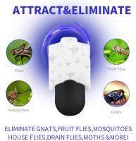 China JZ New Arrival Indoor UV Light Human Harless Plug in Sticky Bug Zapper Mosquito Killing Glue Trapper for Indoor for sale