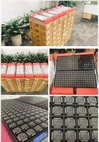 China N-X-P LPC802M001JDH16J Switching Regulator IC Electronic Component Of Ad51 Chip for sale
