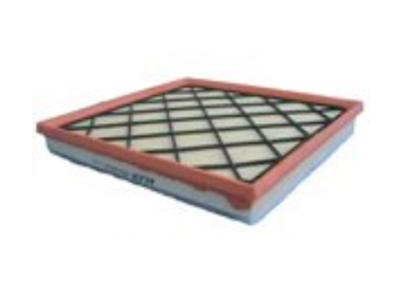 China High Quality Product Air Filter(Air Supply) 13272719 for sale