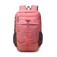 China 21 Litre Anti Theft Multi Function Backpack For 17.3'' Laptop for sale