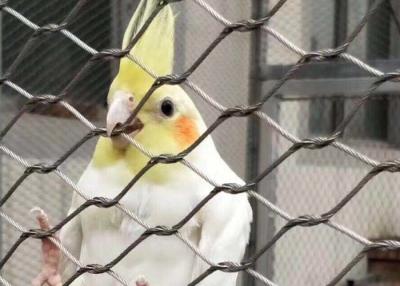 China 316l 2mm Stainless Steel Wire Rope Mesh Knotted Bird Custom Flexible Zoo Net for sale