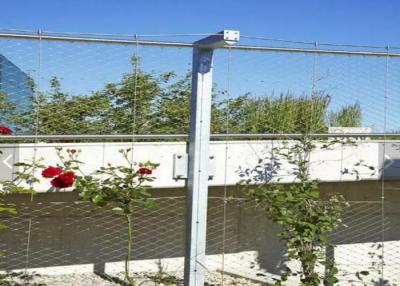 China Playground Stainless Steel Wire Rope Mesh Woven Anti Falling Dropping Ferrule Cable Net for sale