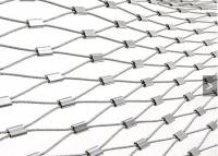 China 7 X 19 Stainless Steel Wire Rope Mesh Ferrule Architecture Plant Trellis Green Wall Cable Net for sale