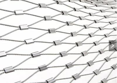 China 7 X 19 Stainless Steel Wire Rope Mesh Ferrule Architecture Plant Trellis Green Wall Cable Net for sale