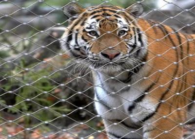 China 7x19 Tiger Metal 1.2mm Stainless Steel Zoo Mesh Enclosure Netting X Tend Shaped for sale