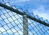 China Diamond Mesh Wire Privacy Pvc Coated Chain Link Fence Roll 5ft 6ft 8ft for sale