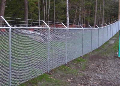 China Silver Galvanized Chain Link Fence Top With Barbed Wire for sale
