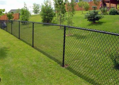 China 50X50mm PVC Coated Or Galvanized Chain Link Fence For Farm And Power Station for sale