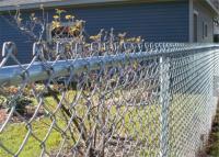 China Hot Dipped Galvanized Chain Link Fence 9 Gauge 50*50mm 6FT Diamond Hole for sale