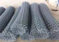 China OEM Hot Dipped Galvanized 4mm Chain Link Privacy Fabric 20x20mm for sale