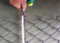 China Residential 12 Gauge Galvanized Steel Chain Link Fence /Chain Link Fabric for sale