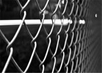 China 50x50mm Basketball Ground Sports Pvc Diamond Mesh Fencing for sale