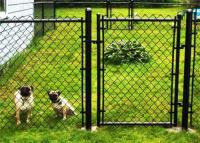 China Pvc Coated Galvanized Chain Link Fence Netting 2 Inches Green Color diamond Hole for sale