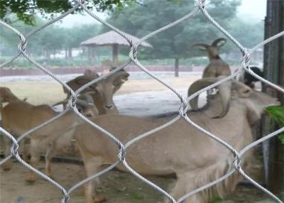 China Animal Protection Stainless Steel Aviary Mesh / Zoo Wire Mesh Fencing Anti - Rust for sale