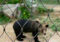 China 304 316l 100x100 Stainless Steel Rope Mesh Protection Animal Zoo for sale
