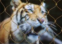 China 304 316l 100x100 Stainless Steel Rope Mesh Protection Animal Zoo for sale