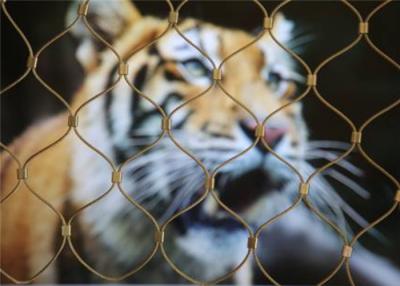 China 304 316l 100x100 Stainless Steel Rope Mesh Protection Animal Zoo for sale