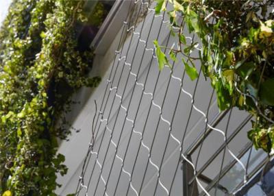 China 70x120mm Flexible Decorative Stainless Steel Wire Rope Mesh For Green Plant Climbing for sale