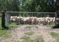 China Durable Chain Link Mesh Fence Gate For Animal Deer Ranch Enclosure for sale