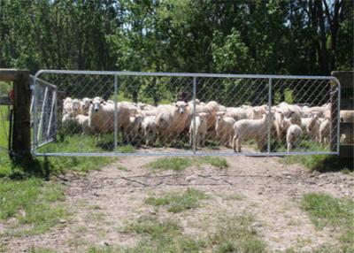 China Durable Chain Link Mesh Fence Gate For Animal Deer Ranch Enclosure for sale