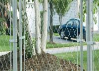 China Modular Chain Link Boxed Galvanized 2.3mm Outdoor Dog Kennel for sale