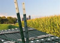 China Farm T Steel Studded Post 6FT 1.25LB Per Foot for sale