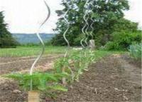 China 7.0mm Spiral Stakes Stable For Tomato / Cucumber for sale