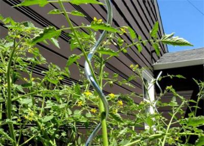China Sprial Tomato Plant Support Wire 5.5MM Chain Link Fence Fittings for sale
