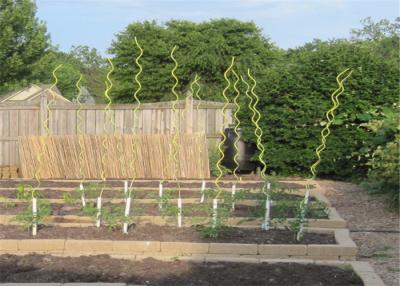 China 1.8M Length 5.5MM Wire Tomato Spiral Stick For Garden for sale