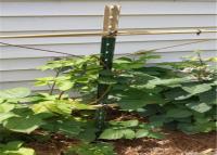 China Green Steel Fence T Post 1-3/4 In X 3-1/2 In X 6 Ft Chain Link Fence Fittings for sale