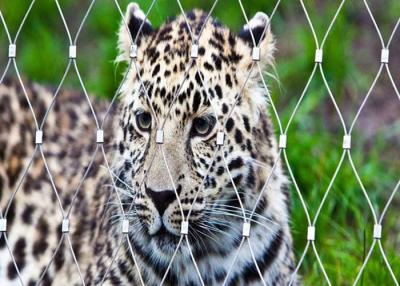 China Animal Protection Rope 7 X 19 Stainless Steel Zoo Mesh for sale