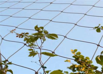 China 7x7 2-3mm Ss304 Stainless Steel Wire Rope Mesh Plant Climbing for sale