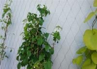 China Garden Trellis Plants 7x7 1.6mm Ferruled Climbing Netting for sale