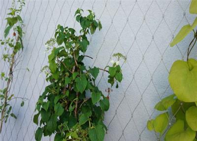 China Garden Trellis Plants 7x7 1.6mm Ferruled Climbing Netting for sale