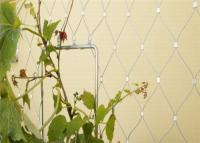China SS316 Green Wall Mesh / Ferruled Type Stainless Steel Wire Cable Mesh Netting for sale