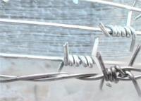 China BWG12 BWG14 12X12 Galvanized Barbed Wire for sale