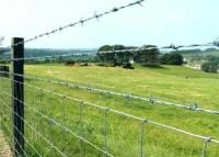 China High Tension 1.7MM Galvanized Barbed Wire For Barriers for sale
