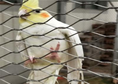 China Parrot Exhibit Protection 20MM Stainless Steel Wire Rope Mesh for sale