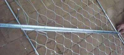 China Ferrule 1.6mm Wire Diameter Stainless Steel Zoo Mesh Polished Surface for sale